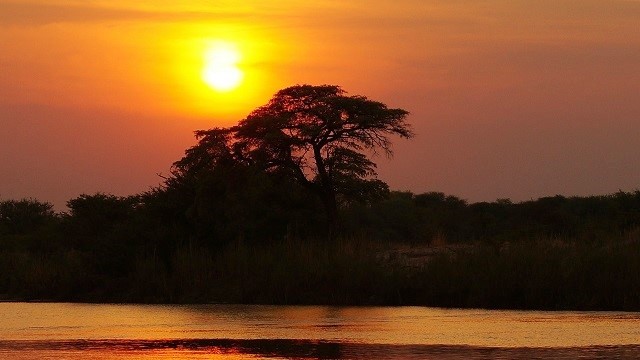 Quénia | A caminho de Mombaça | ACP