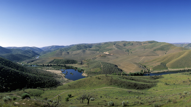 Vila Nova de Foz Côa | ACP